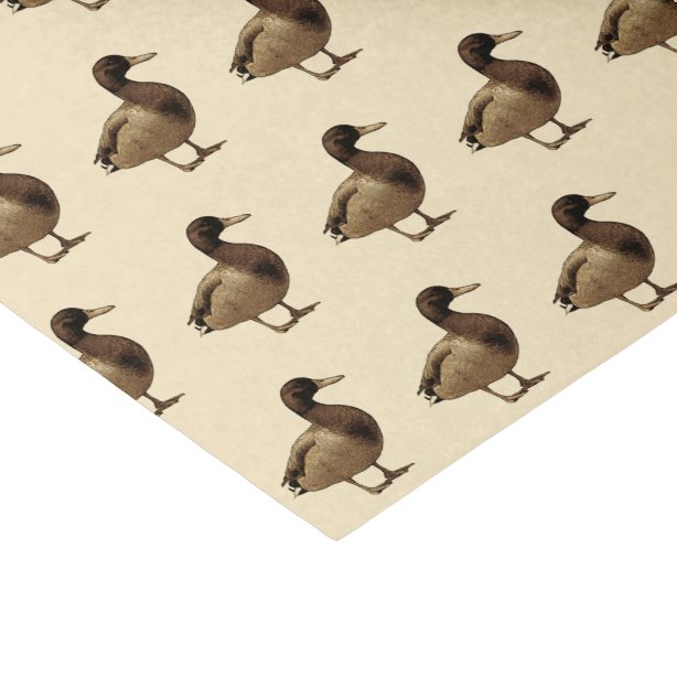 Ducks Craft Tissue Paper | Zazzle.ca