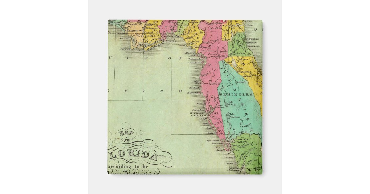Map of Florida Magnet | Zazzle