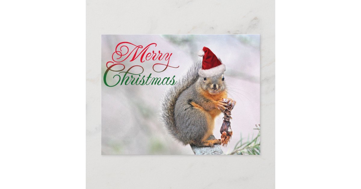 Merry Christmas Squirrel Holiday Postcard | Zazzle
