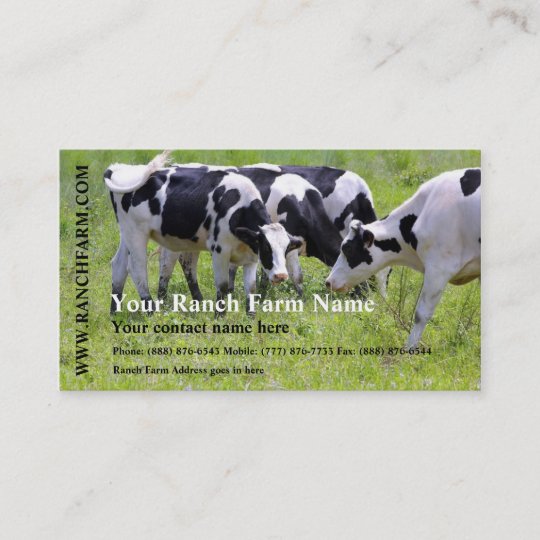 Milking Dairy Cow Cattle Ranch Farm Business Card | Zazzle.ca