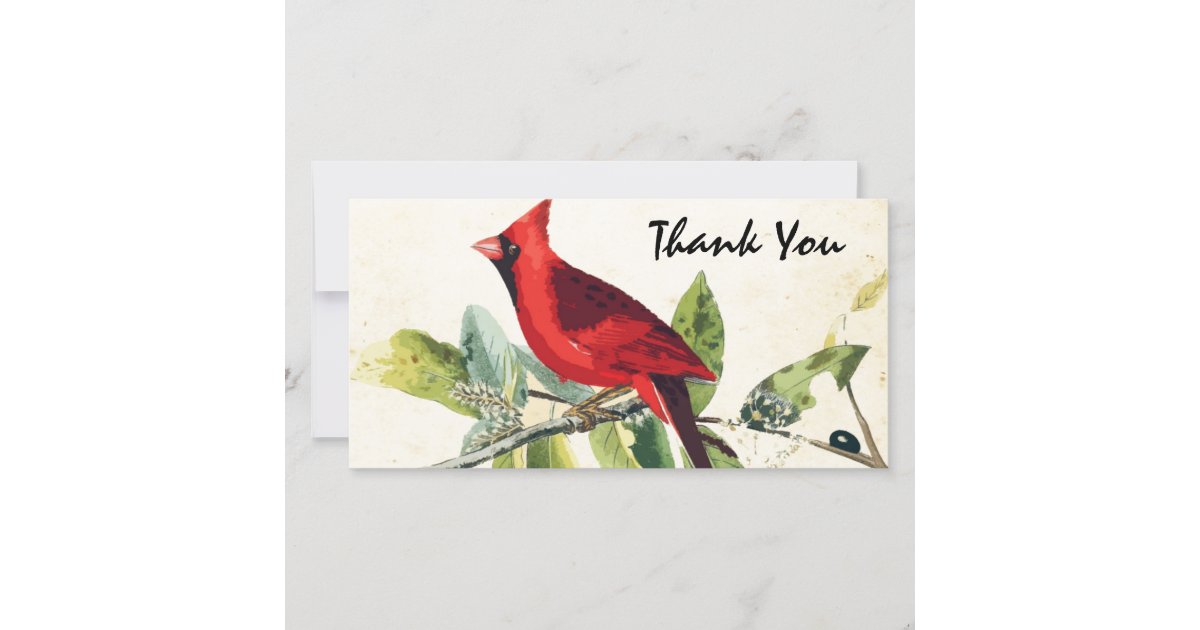 Modern Watercolor Red Cardinal Funeral Thank you | Zazzle