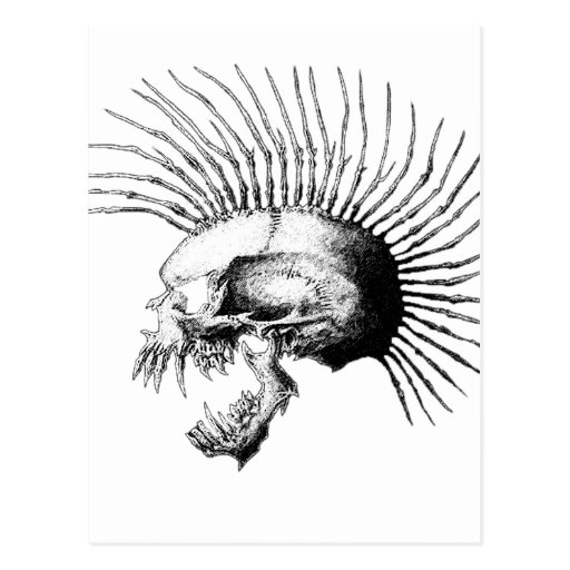 Mohawk Skull Postcard | Zazzle