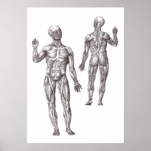 Muscle Men Posters, Prints & Poster Printing | Zazzle CA