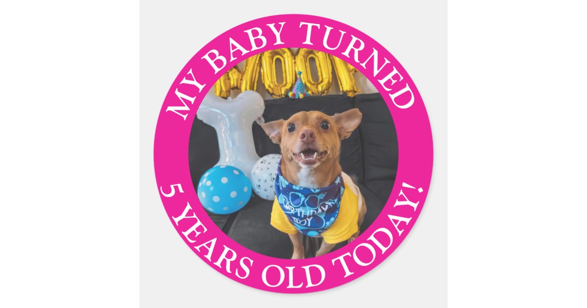 My baby turned 5 years old today birthday classic round sticker | Zazzle