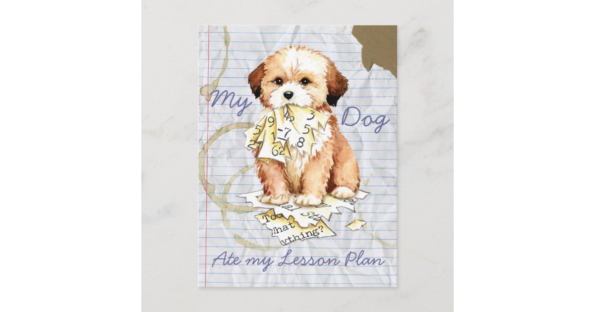 My Lhasa Apso Ate my Lesson Plan Postcard | Zazzle