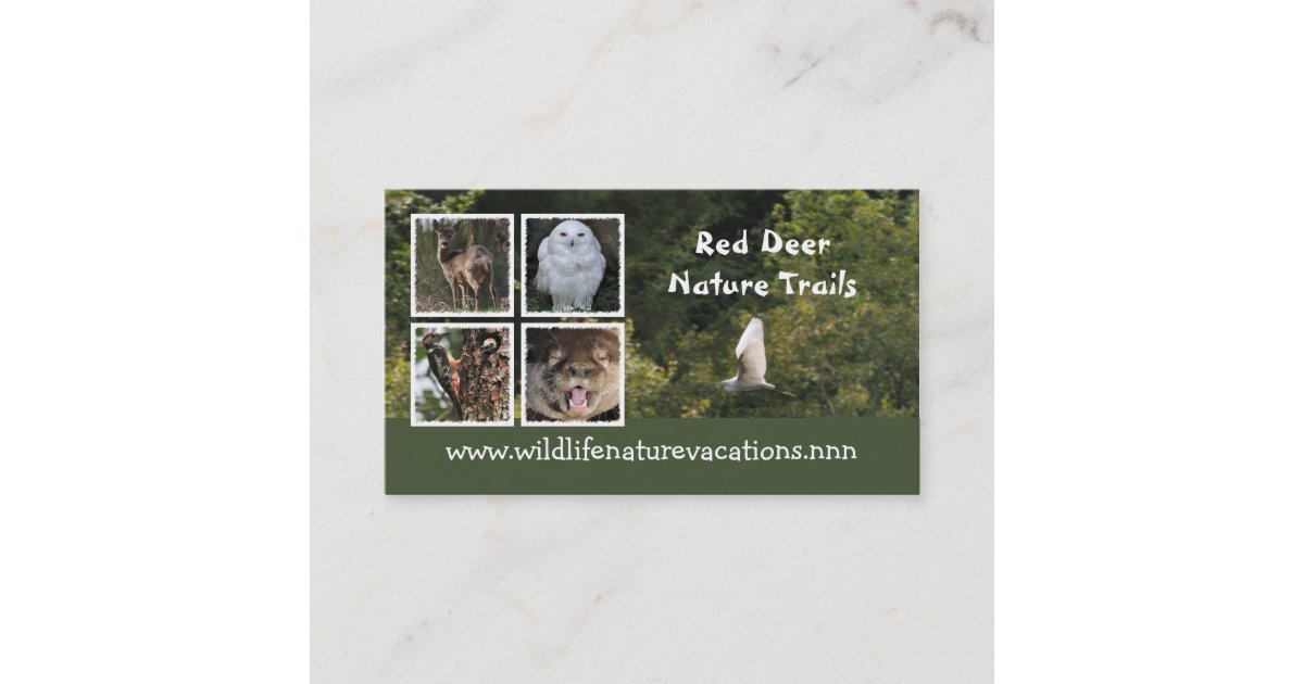 Nature and wildlife business card | Zazzle