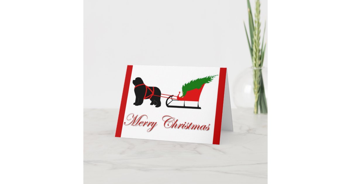 Newfoundland Christmas Card | Zazzle