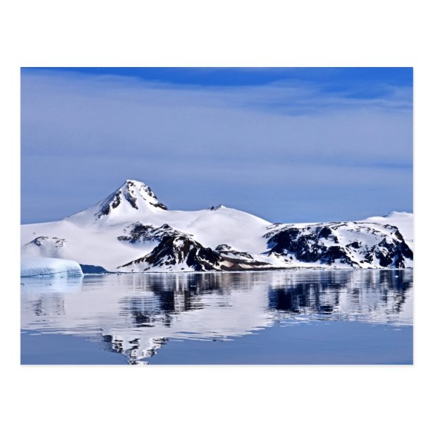 Antarctica Postcards | Zazzle CA