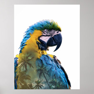 Tropical Parrot Posters, Prints & Poster Printing | Zazzle CA
