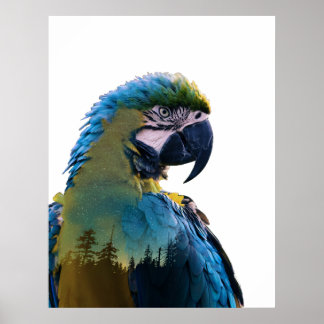 Tropical Parrot Posters, Prints & Poster Printing | Zazzle CA