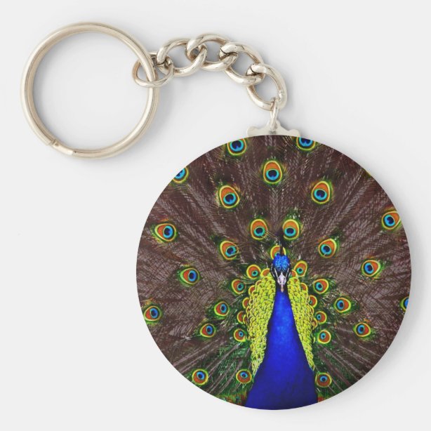 Peacock Feather Keychains & Key Rings | Zazzle CA