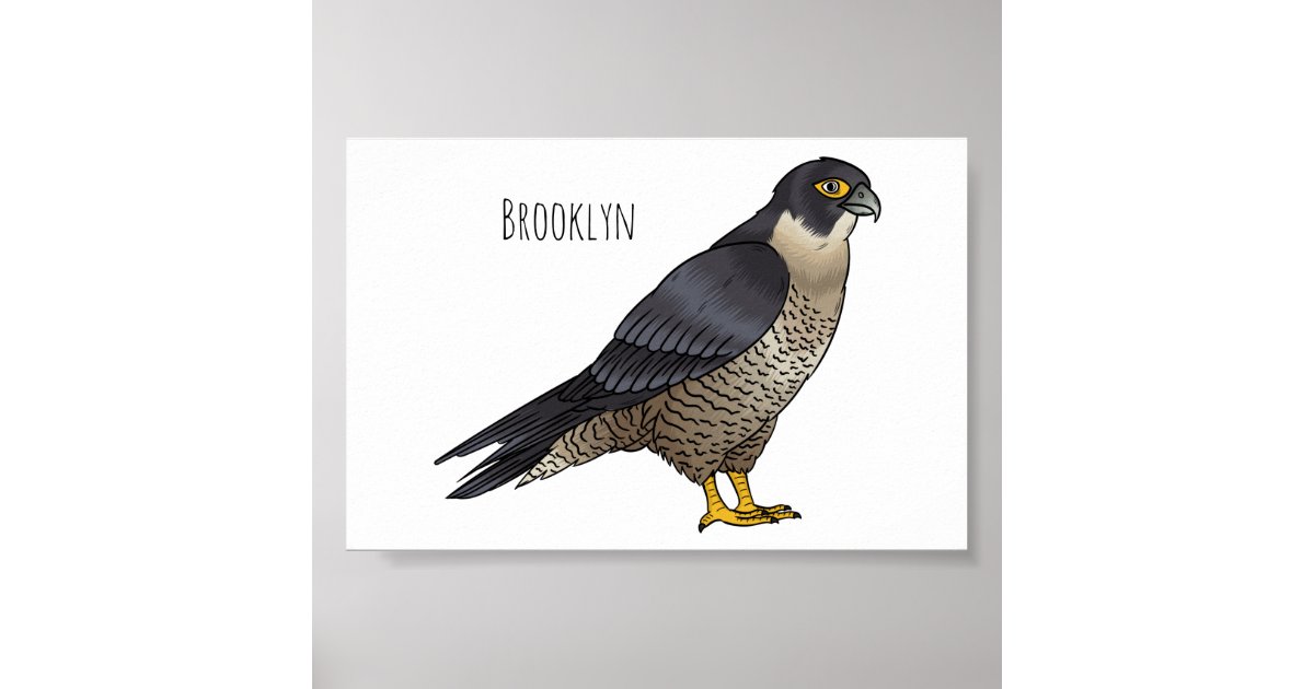 Peregrine falcon bird cartoon illustration poster | Zazzle