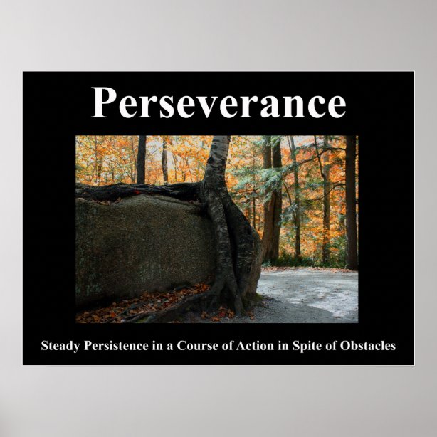 Perseverance Posters, Prints & Poster Printing | Zazzle CA