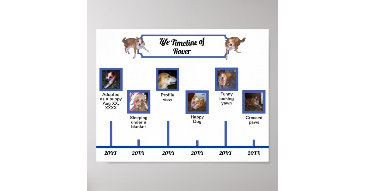 Pet Dog Photos Timeline, Photos, Captions Memorial Poster | Zazzle