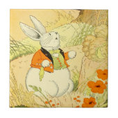 Peter Rabbit Ceramic Tile | Zazzle