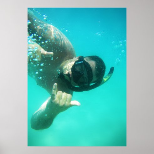 Scuba Diving Posters, Prints & Poster Printing | Zazzle CA