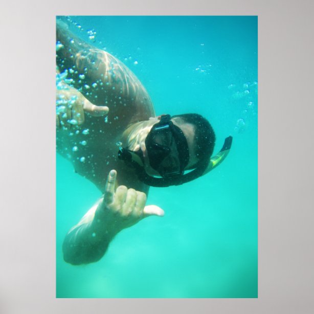 Scuba Diving Posters, Prints & Poster Printing | Zazzle CA