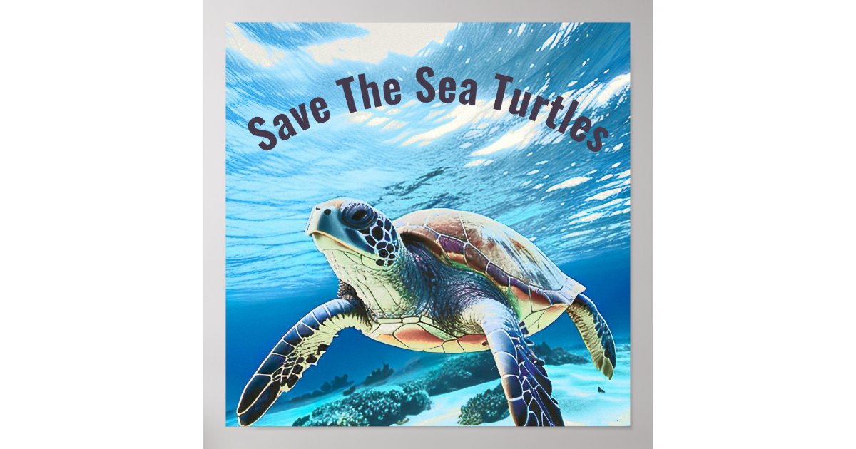 Photo Realistic Sea Turtle | Save The Sea Turtle Poster | Zazzle