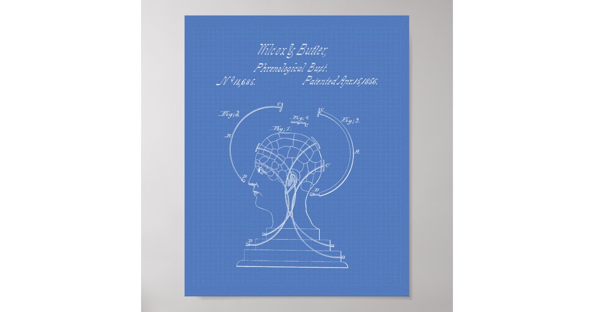 Phrenological Bust 1856 Patent Art Blueprint Poster | Zazzle