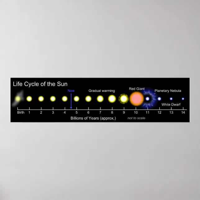 Picture Diagram of the Solar Life Cycle of the Sun Poster | Zazzle