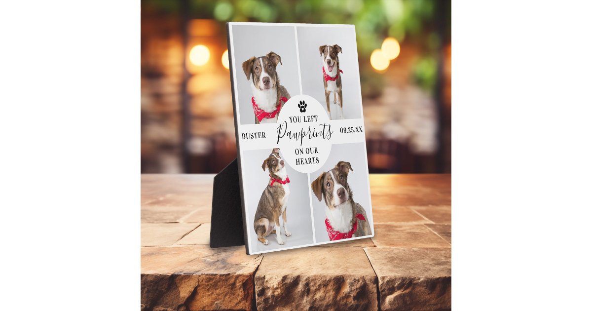 Plaque Photo Collage photo moderne 4 | Chien/Chat Perdu d'Anima | Zazzle.ca
