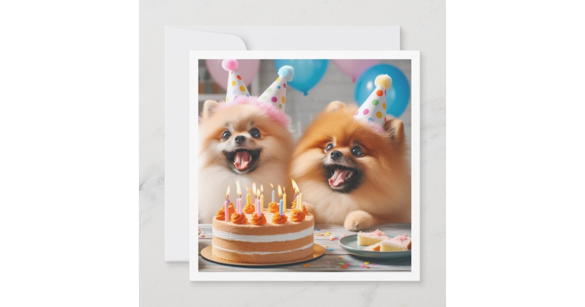 Pomeranian birthday card, Pomerania, Pomeranian Invitation | Zazzle