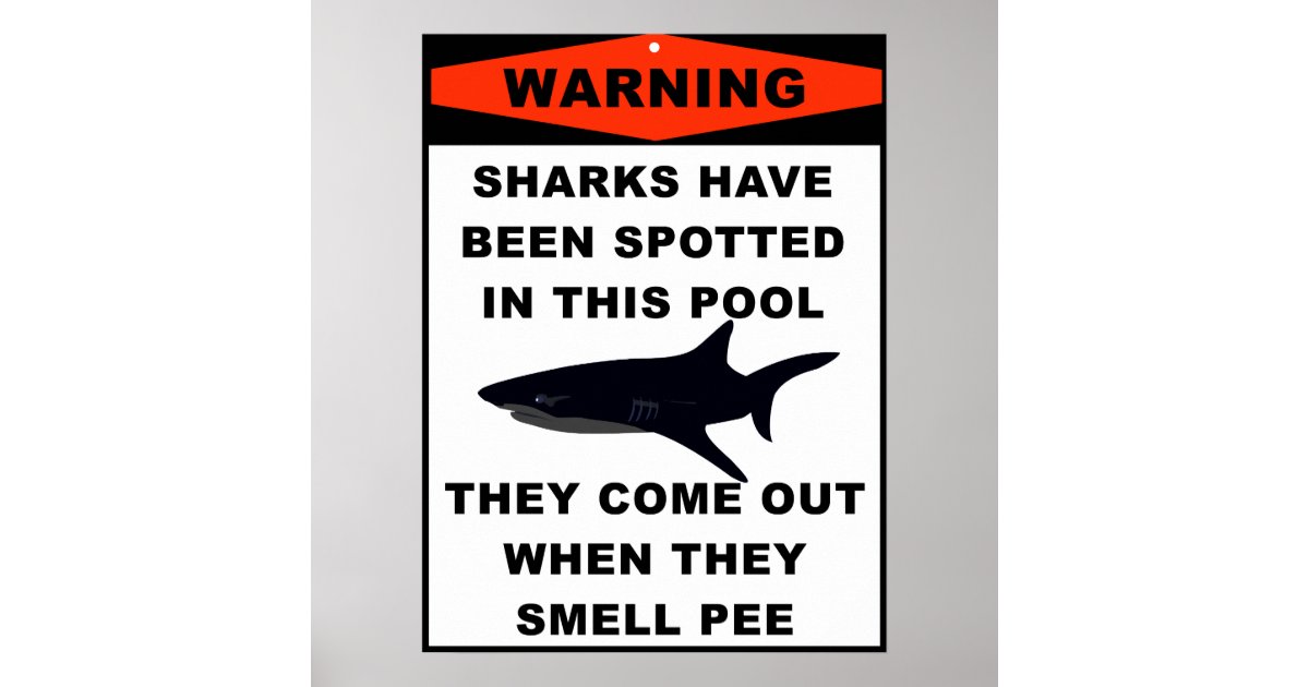 Pool Shark Warning Poster | Zazzle