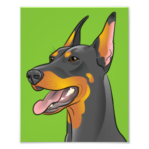 Doberman Posters, Prints & Poster Printing | Zazzle CA