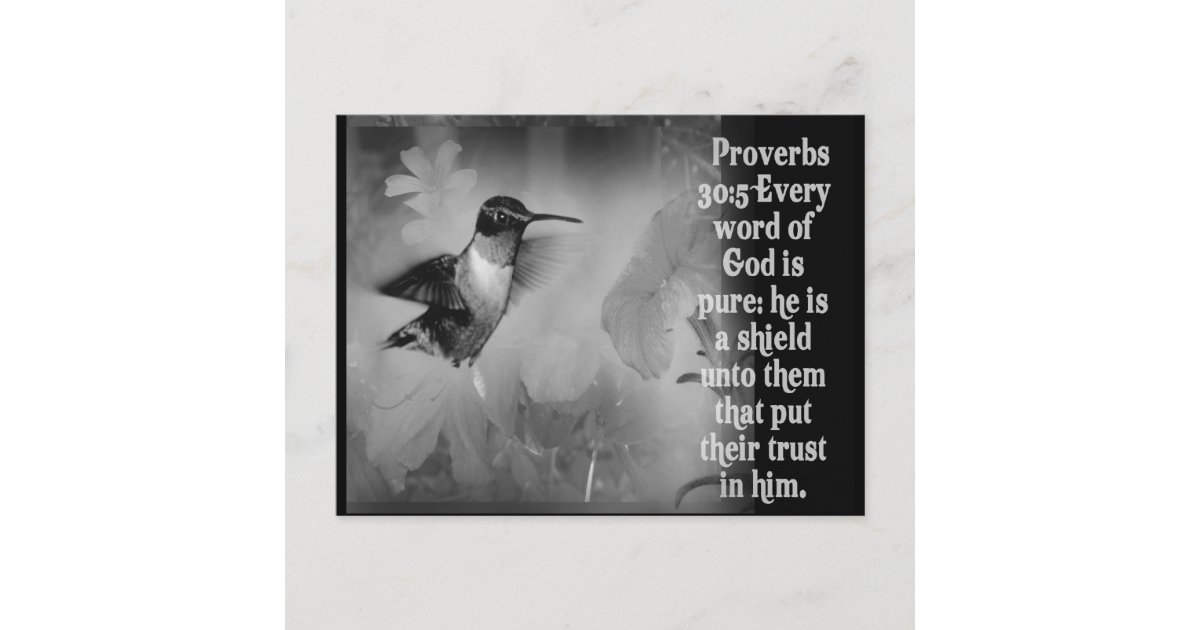 Proverbs 30:5 BIBLE SCRIPTURE with Hummingbird Postcard | Zazzle