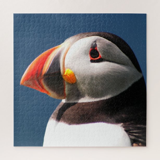 Puffin Jigsaw Puzzles | Zazzle.ca