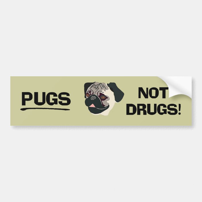 Pugs Not Drugs Bumper Sticker | Zazzle.ca