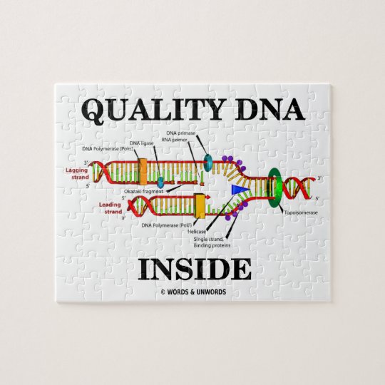 Quality DNA Inside (DNA Replication) Jigsaw Puzzle | Zazzle.ca