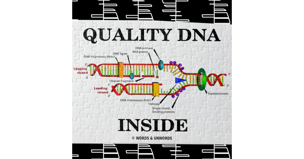Quality DNA Inside (DNA Replication) Jigsaw Puzzle | Zazzle