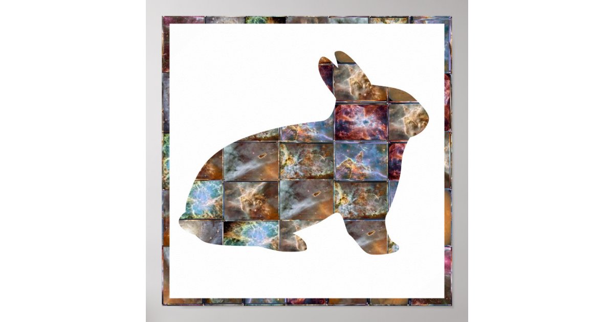 RABBIT : Graphic Design Poster | Zazzle
