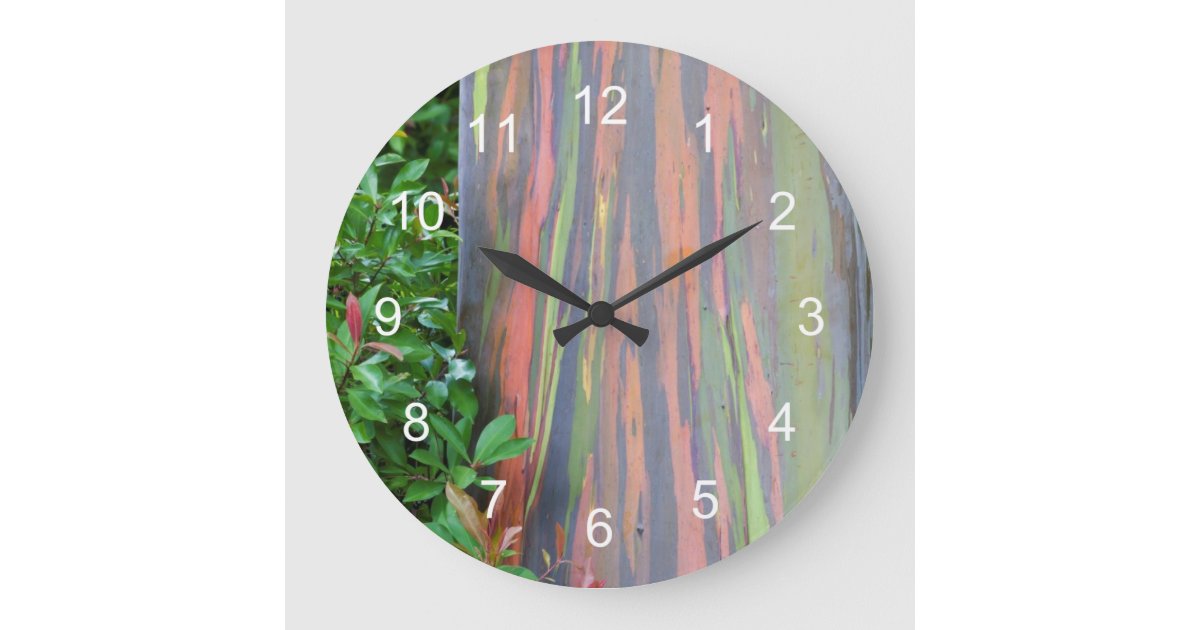 Rainbow Eucalyptus Tree Large Clock | Zazzle