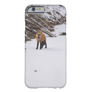 Fox iPhone Cases & Covers | Zazzle CA