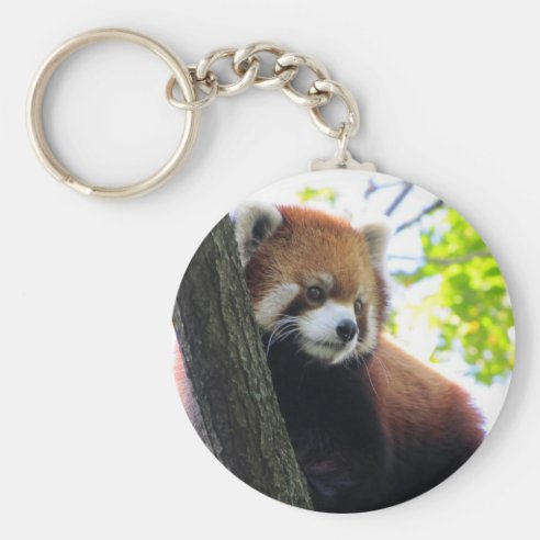 Red Panda Keychains & Key Rings | Zazzle CA