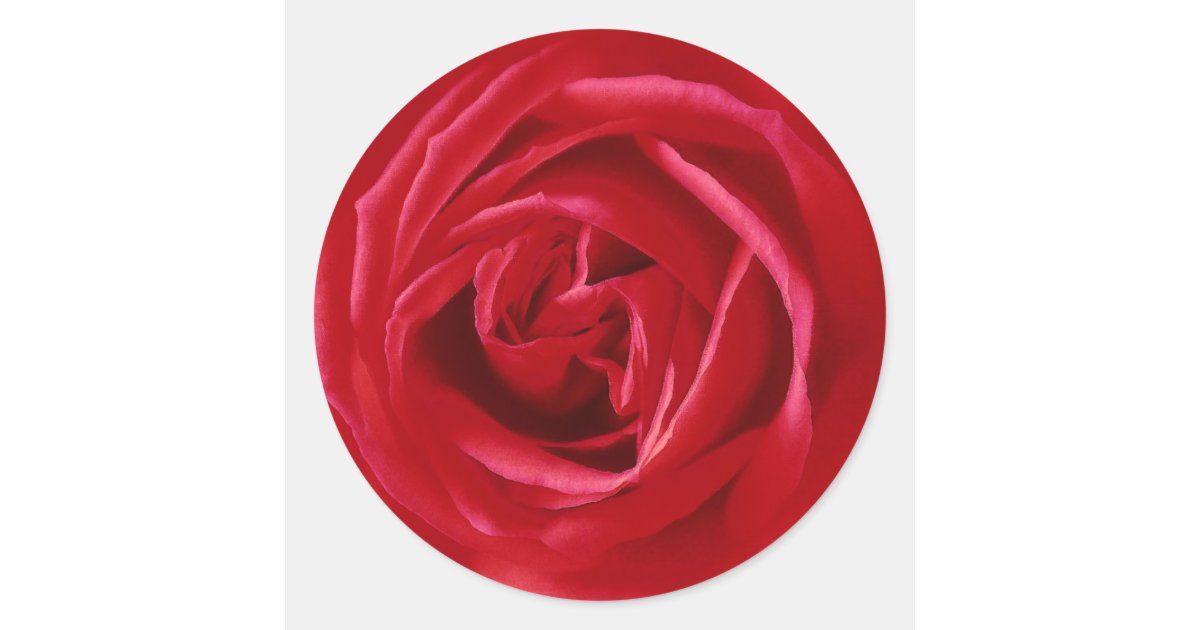 Red rose print classic round sticker | Zazzle