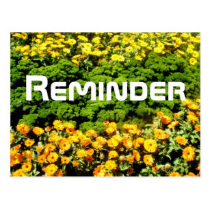 Reminder Postcards | Zazzle CA