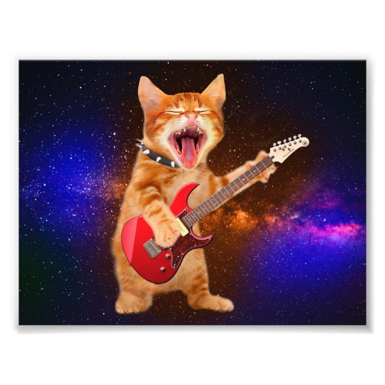 Rock star cat photo print | Zazzle.ca
