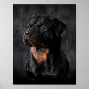 Rottweiler Paintings Posters, Prints & Poster Printing | Zazzle CA