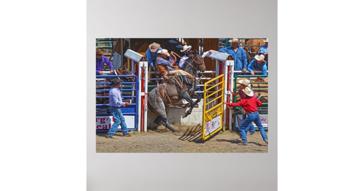 Saddle Bronc Breaking Out of Rodeo Chute w Cowboy Poster | Zazzle
