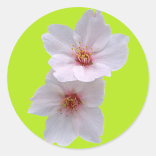 Sakura Stickers | Zazzle CA