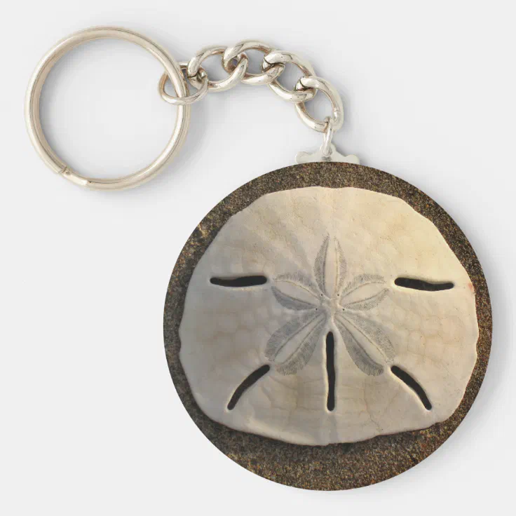 Sand Dollar Seashell Sand Beach Keychain | Zazzle
