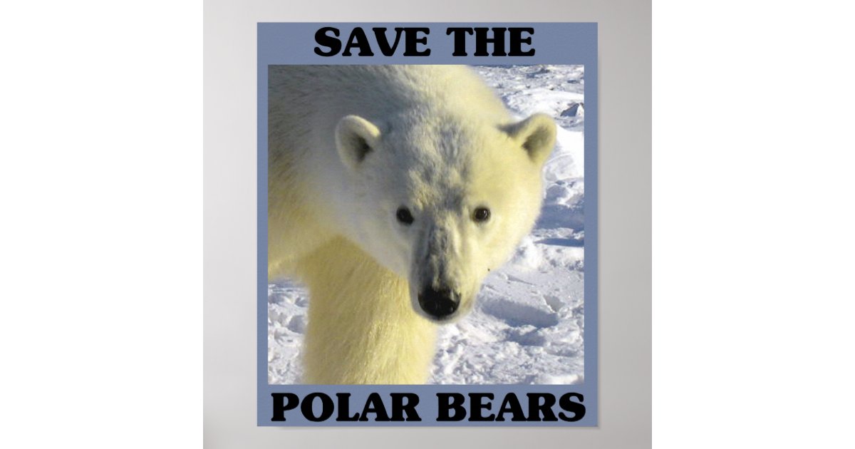 Save the Polar Bears Poster | Zazzle