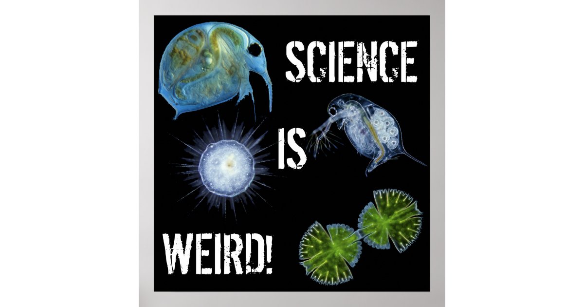 Science is Weird poster! Poster | Zazzle