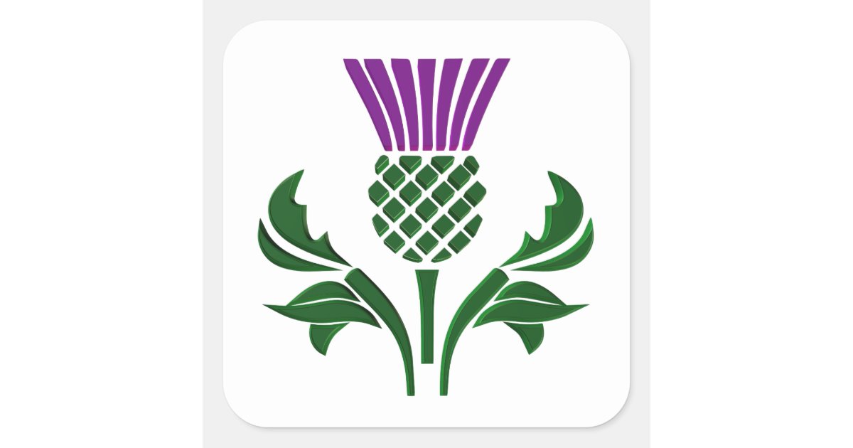 Scottish emblem thistle square sticker | Zazzle