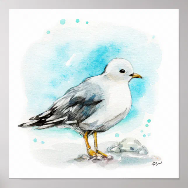 Seagull Study 1 Poster | Zazzle