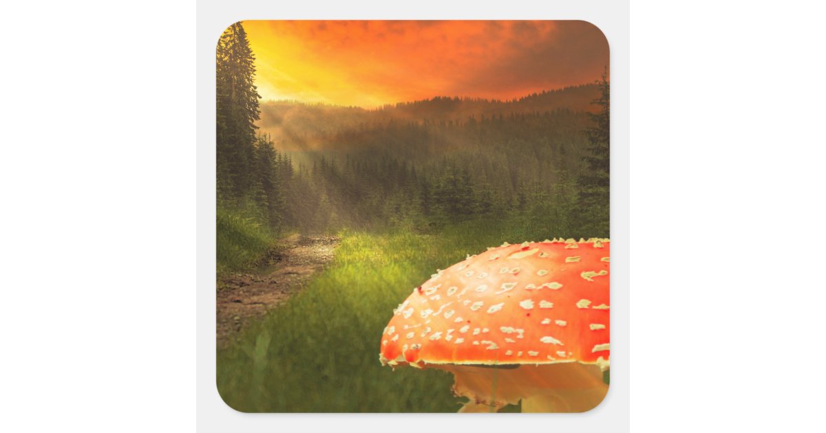 Setting Autumn Sun. Square Sticker | Zazzle