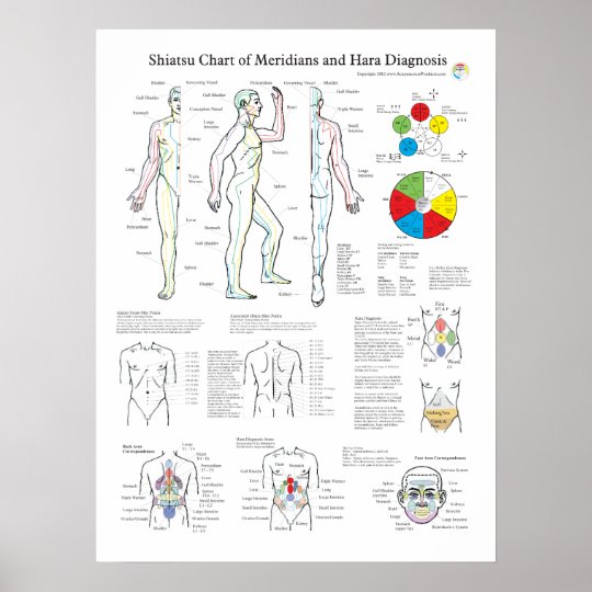 Shiatsu Acupuncture Meridians and Hara Diagnosis Poster | Zazzle.ca